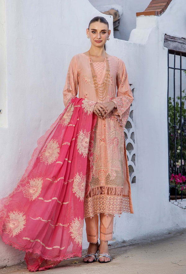 Adan's Libas - Largest Women's Clothing Brand